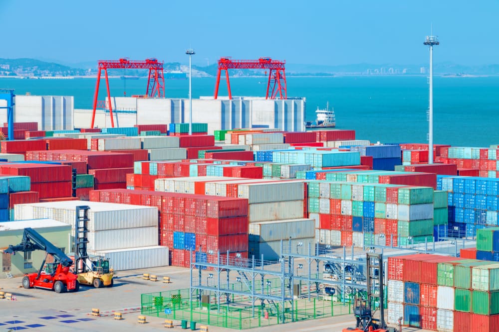 What to Look For in a Port Drayage Service Provider | Shadow Group of ...